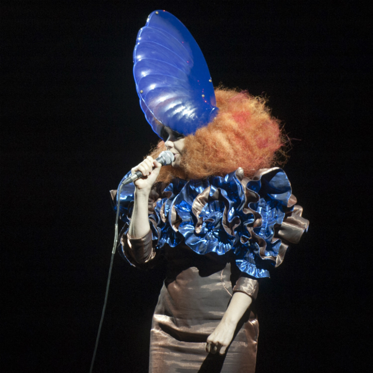 Bjork announces New York shows ahead of 'Vulnicura' release | Gigwise
